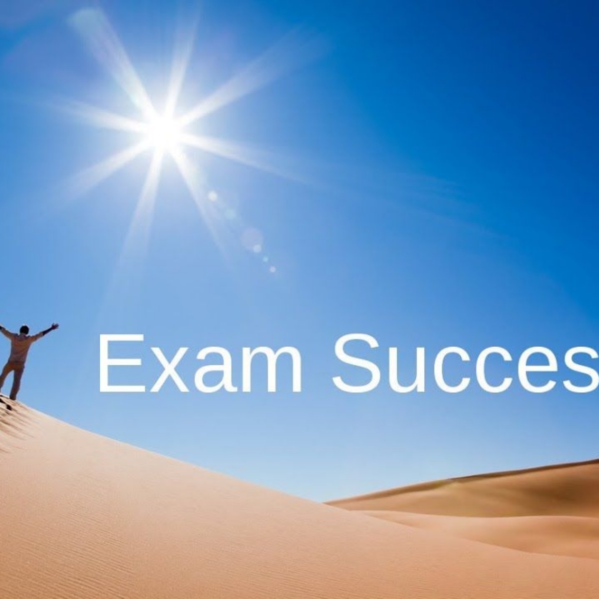 Notton House Academy - Exam Success